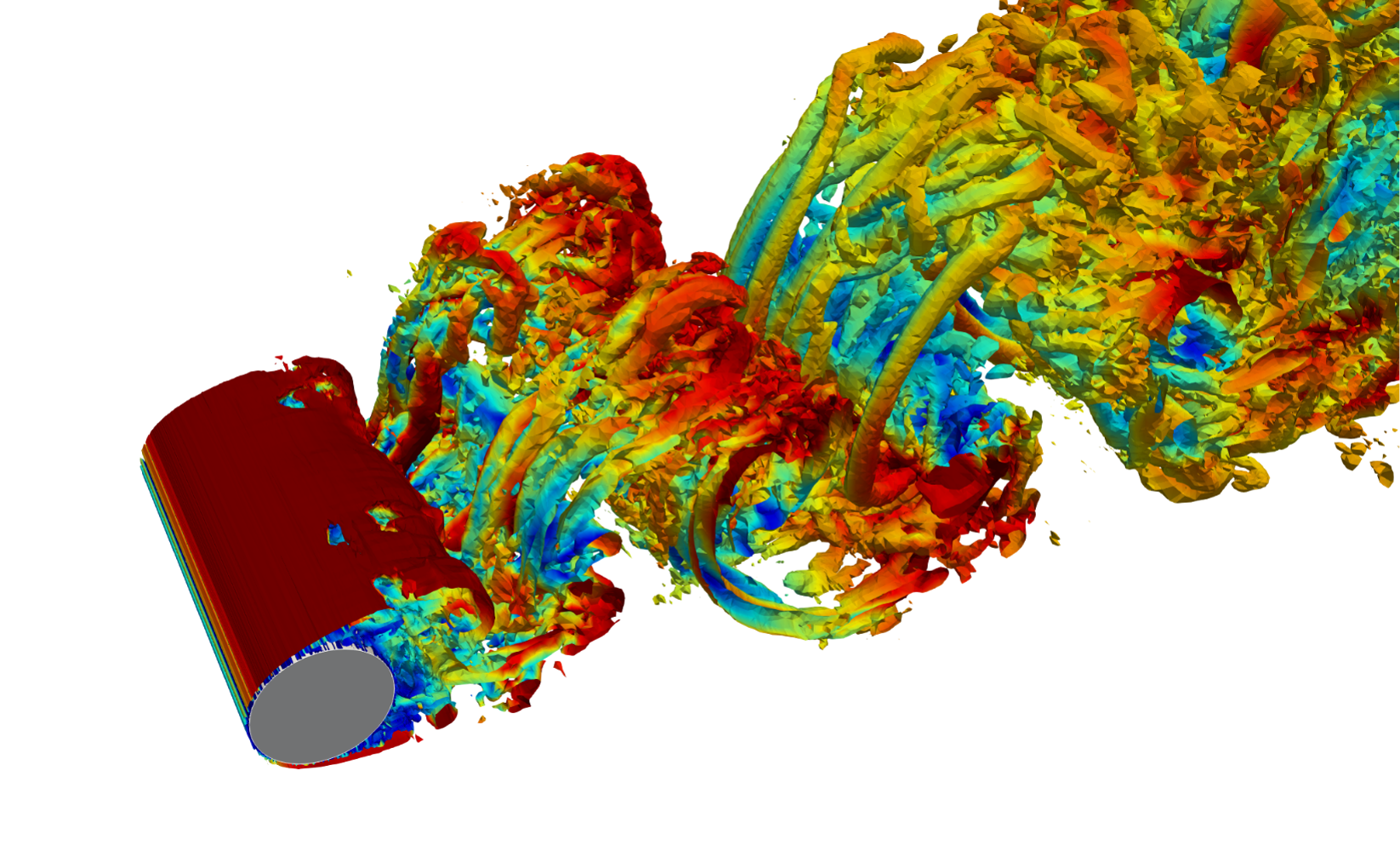 Turbulent Flow Around An Immersed Cylinder – Soonpil Kang
